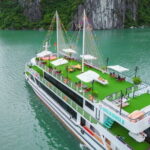 Hanoi to Halong Bay New Apollo 5 Star Cruise with Buffet Lunch - The Cruise Experience: From Harbour to Horizon