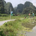 Hanoi Vespa Tour Explore Red River Delta & Rural Villages 5 Hours - Who Will Love This Tour?