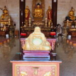 HappyYen's Self-Awareness in the Rain Forest Tour - Who Will Love This Tour?