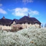 Haputale Highlands from Nuwara Eliya - Authentic Experiences and What Travelers Say