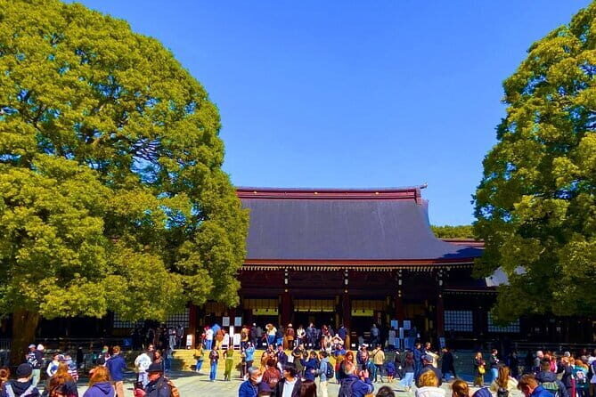 Harajuku Highlights: Where Tradition Meets Tokyo Pop - What Travelers Say and Why It Matters