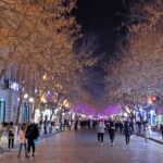 Harbin City Guided Tour to Zhongyang Street and Sophia Church - Zhongyang Pedestrian Street: A Walk Through History and Local Life