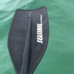 Harbor Kayak Rental in Destin, Florida - Final Thoughts: Who Is This Experience Best For?