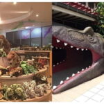 Have Fun in OKINAWA Pass (1 Week Free Pass) - A Deep Dive Into the Experience