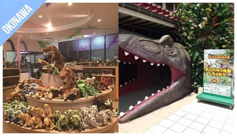 Have Fun in OKINAWA Pass (1 Week Free Pass) - A Deep Dive Into the Experience