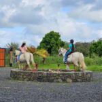 Hawaii: Small Group Rainforest Trail Ride - Who Will Enjoy This Tour?