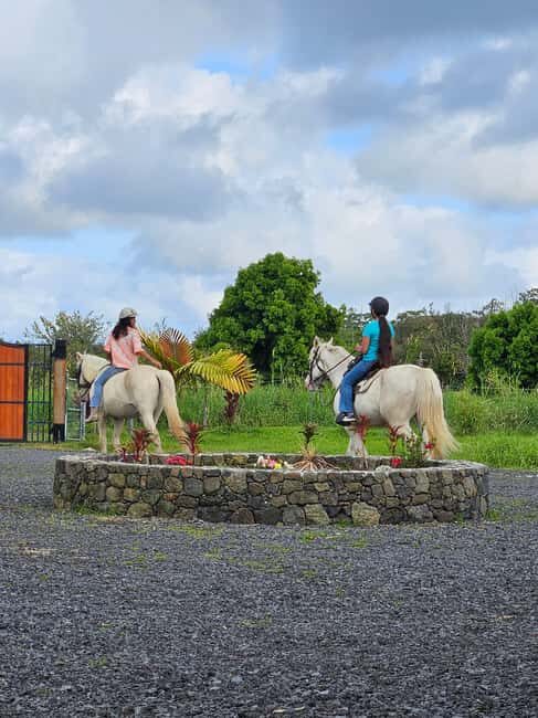 Hawaii: Small Group Rainforest Trail Ride - Who Will Enjoy This Tour?