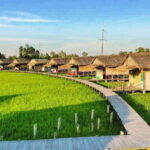 HCM: Authentic Dong Thap Mekong Delta Day Trip & Boat Ride - The Journey Begins: From Ho Chi Minh City to the Mekong