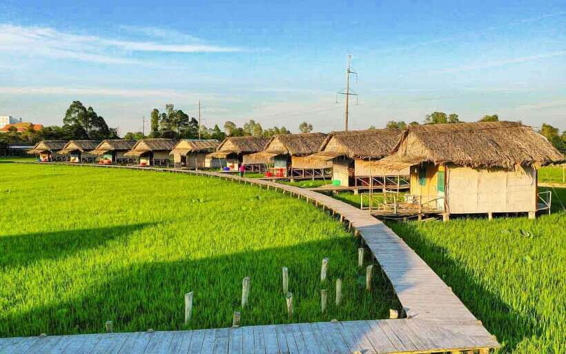 HCM: Authentic Dong Thap Mekong Delta Day Trip & Boat Ride - The Journey Begins: From Ho Chi Minh City to the Mekong