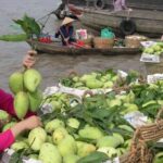 HCMC: Cai Rang Floating Market & Mekong Delta Private Tour - An In-Depth Look at the Mekong Delta Experience