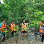 HCMC: Can Gio Mangrove Forest, Biosphere Museum & SUP Tour - The Experience’s True Value