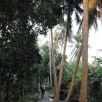 HD-05 Soft adventure ride around Bangwa - What to Expect and Practical Tips