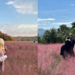 Herb Island and Sanjung Lake and Bidulginang Water Falls - Authenticity, Value, and Experience