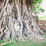 Heritage Tour in Ayutthaya by Cruise - The Verdict: Who Will Love This Tour?