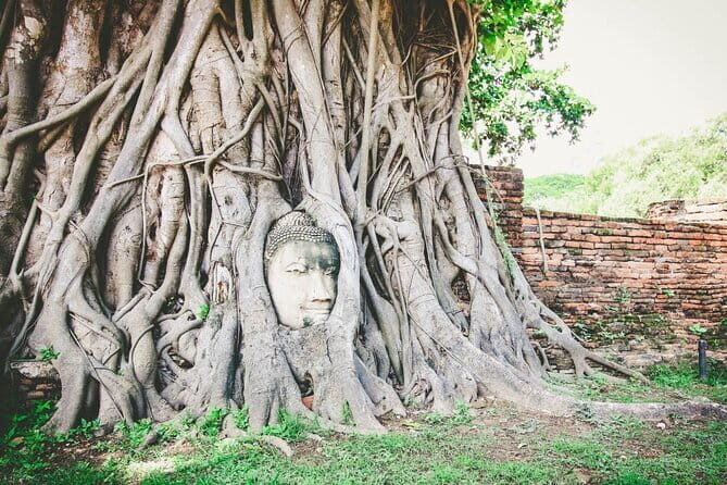 Heritage Tour in Ayutthaya by Cruise - The Verdict: Who Will Love This Tour?