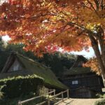 Hida Folk Village Museum Passes in Takayama Japan - Who Is This Tour Best For?