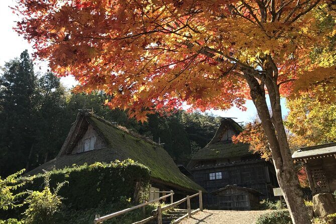 Hida Folk Village Museum Passes in Takayama Japan - Who Is This Tour Best For?