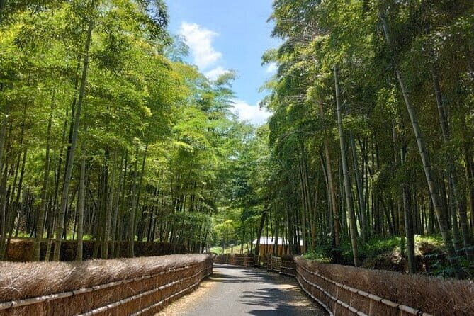 Hidden Bamboo gem and Japanese foods in Izakaya Private Tour - A Full Breakdown of the Tour Experience