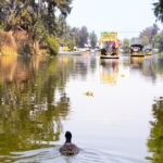 Hidden Canals of Tláhuac: A Peaceful Alternative to Xochimilco - Who Is This Tour Best For?