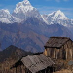Hidden Himalayas: 8-Day Mohare Danda Trek via Nagi Village - What It Feels Like on the Trail