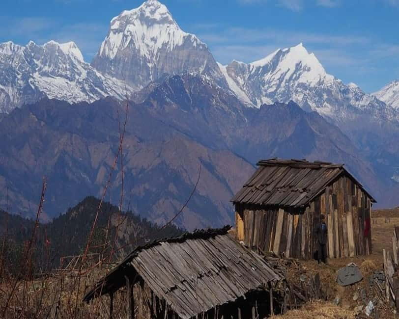 Hidden Himalayas: 8-Day Mohare Danda Trek via Nagi Village - What It Feels Like on the Trail