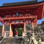Hidden jem and highlights in kyoto half day private - Who Will Enjoy This Tour?