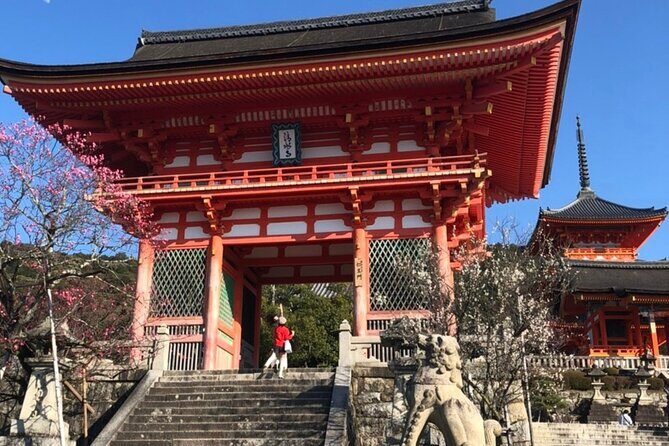 Hidden jem and highlights in kyoto half day private - Who Will Enjoy This Tour?