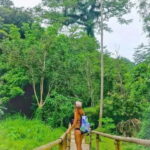 Hidden Valley Springs Alaminos with Lunch - What’s Included in Your Day?