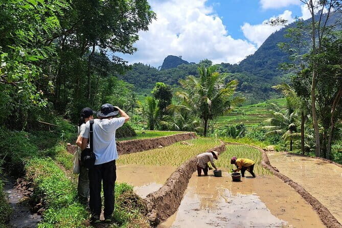 Hidden Waterfall & Selogriyo Rice Terraces Trek from Yogyakarta - Who Is This Tour Best For?