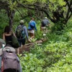 Hierve el Agua Half-Day: Early Access & Personal Guide + Pickup - Practical Tips & Considerations