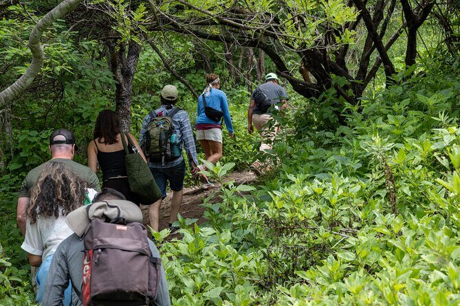 Hierve el Agua Half-Day: Early Access & Personal Guide + Pickup - Practical Tips & Considerations