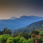 High Knuckles Trekking from Kandy - Who Is This Tour Best For?