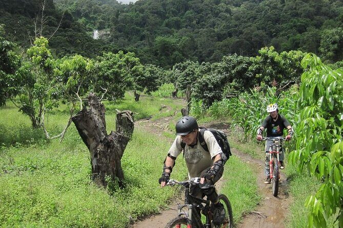 Highlanders Route Advanced Mountain Bike Tour in Chiang Mai - The Technical Terrain and Trail Experience