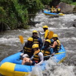 Highlight Ubud Temple, Rice Terrace including Waterfall - The Sum Up: Is This Tour Right for You?