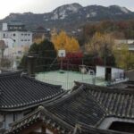 Highlights & Hidden Gems With Locals: Best of Seoul Private Walking Tour - A Thorough Look at the Experience