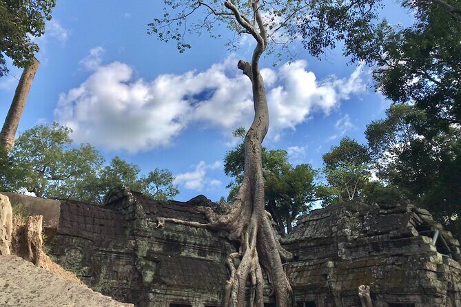 Highlights of Angkor Wat, Ta Prohm & Angkor Thom - Practical Tips for Your Tour Day