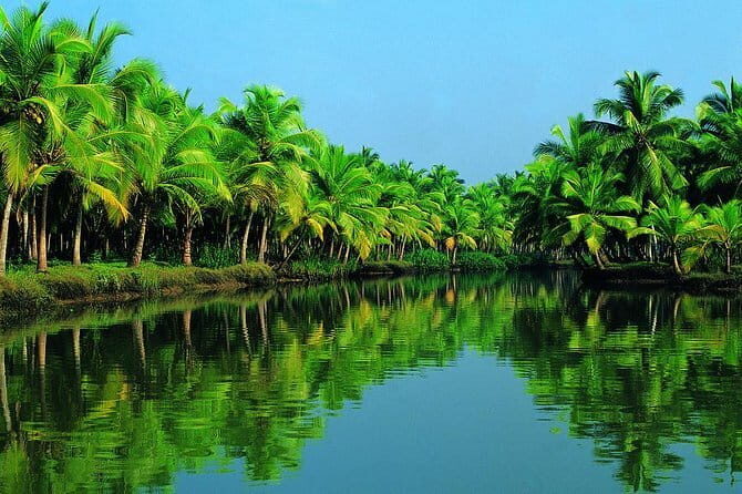 Highlights of Cochin - Group Shore Excursion from Pier - Authentic Experiences and Hidden Gems