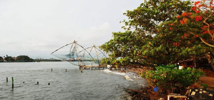 Highlights of Cochin: Group Tour from Cochin Port - Authentic Insights from Traveler Reviews