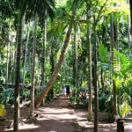Highlights of South Goa with Spice Plantation Tour (Guided Fullday Tour by Car) - What Makes This Tour Stand Out?