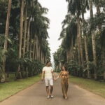 Highlights Of Sri Lanka | 7 Days - Detailed Breakdown of the Itinerary