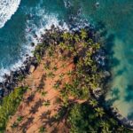 Highlights of Sri Lanka 8 Days Private Tour - In-Depth Breakdown of the Itinerary