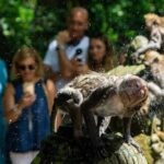 Highlights of Ubud: Nature, Rice Terrace, Waterfall, Temple and more - Authentic Experiences and Practical Details