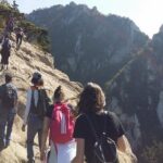 Hike at Mt. Bukhansan National Park with professional Guide(including Lunch) - The Itinerary: A Well-Structured Day in Nature