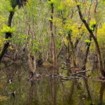 Hike, Bike, and Kayak Through the Heart of Cat Ba National Park - Practicalities and Considerations