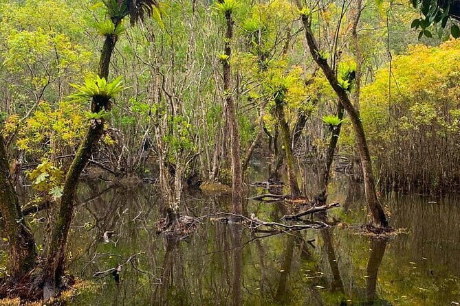 Hike, Bike, and Kayak Through the Heart of Cat Ba National Park - Practicalities and Considerations