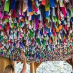 Hike explore and more in The Great Smoky Mountains - The Experience at Foxfire Adventure Park