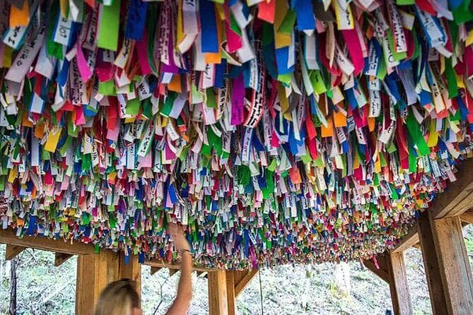 Hike explore and more in The Great Smoky Mountains - The Experience at Foxfire Adventure Park