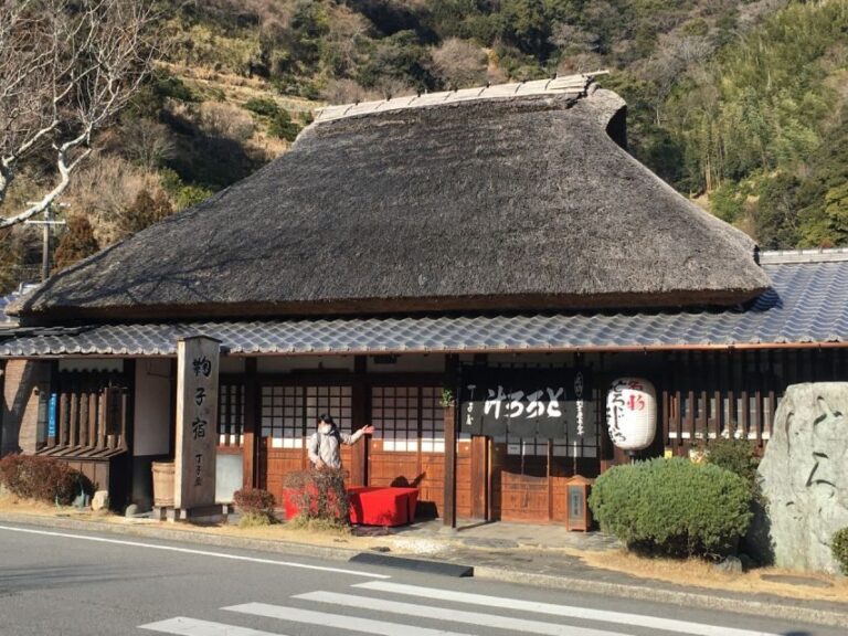 Hike Hakone Hachiri Japan Heritage Area - What Makes This Tour Stand Out?