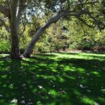 Hike in the Santa Monica Mountains - A Deep Dive into the Santa Monica Mountains Hike