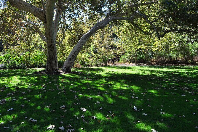 Hike in the Santa Monica Mountains - A Deep Dive into the Santa Monica Mountains Hike